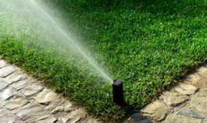 Grand Junction Landscaping Services | Maple Leaf Landscaping